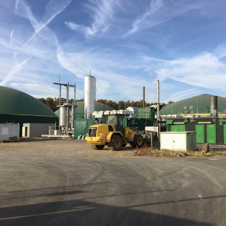 Biogas plants using maize silage – Biome