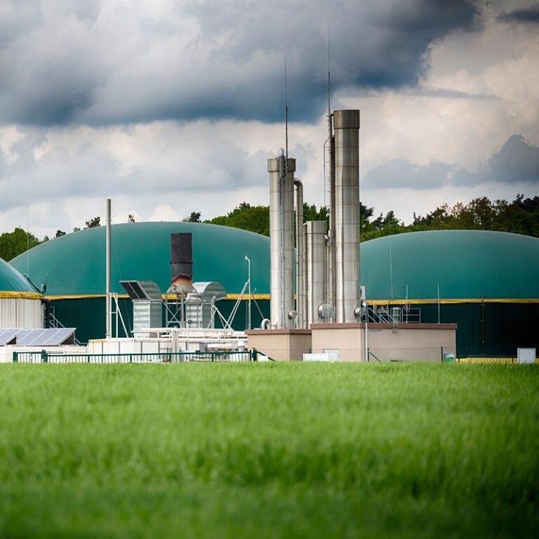 Biogas plants using straw – Biome